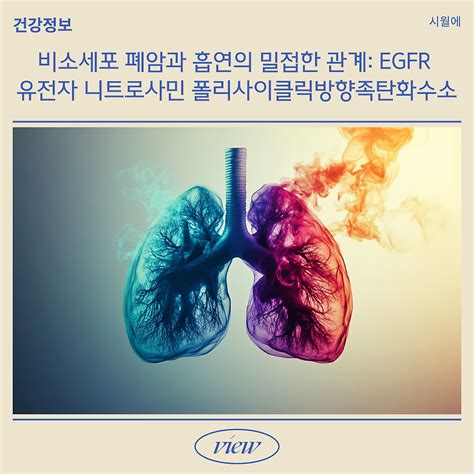 비소세포 폐암과 흡연의 밀접한 관계 Egfr 유전자 니트로사민 폴리사이클릭방향족탄화수소