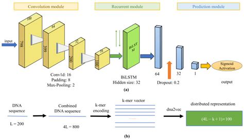 Deepd2v A Novel Deep Learning Based Framework For Predicting Transcription Factor Binding Sites