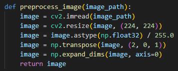 Error S Related To Deployement Of Converted Nef Model In Kneron