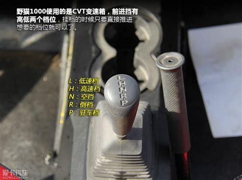 野猫1000系列全地形车 爱卡汽车图片