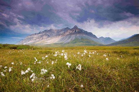 Secrets Of Alaskas Brooks Range Touristsecrets