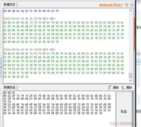 mqtt报文逐条解析 mqtt报文解析 csdn博客