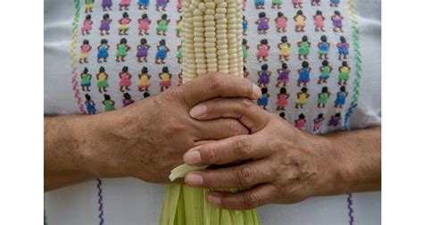 Agricultura asegura apoyos para productoras mujeres e indígenas