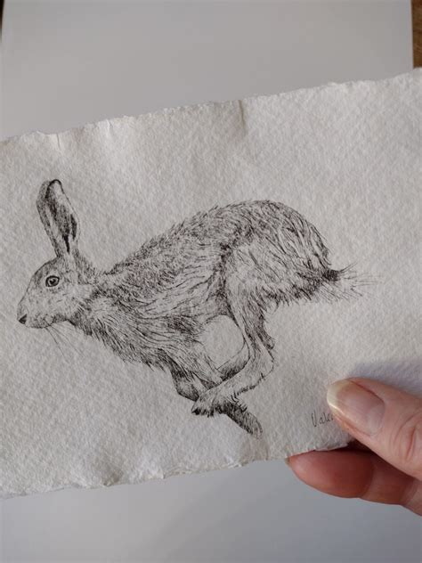 Original Pen And Ink Drawing Of A Hare Etsy