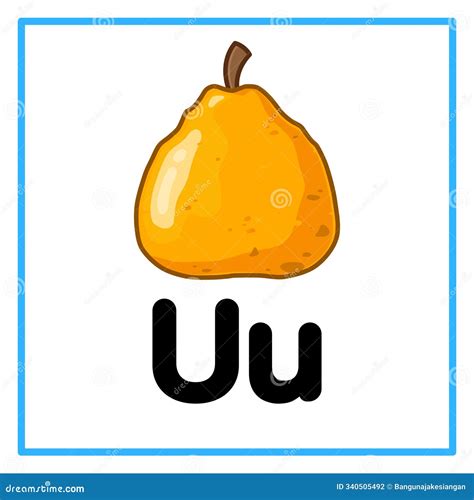 Fresh Ugli Fruit Alfabet Illustration Cartoon Vector 340505495