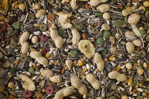 Parrot Mix 15kg