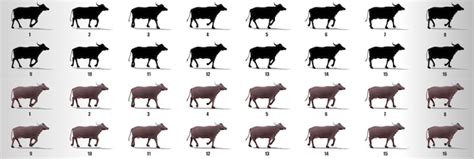 Premium Vector Monkey Walk Cycle Animation Frames Loop Animation