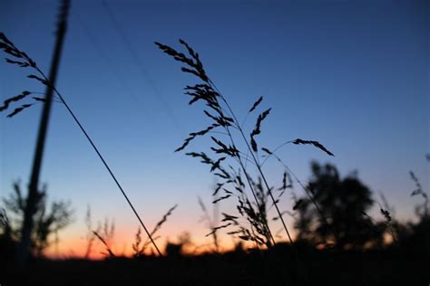 Pin By Anastasia On а Utility Pole Utilities