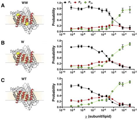 Figures And Data In The Dimerization Equilibrium Of A ClC Cl H