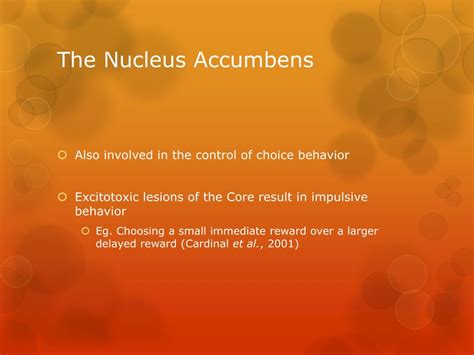 Ppt Getting To The Core Of The Issue Between The Nucleus Accumbens
