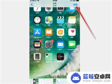 手机图片里如何编辑箭头 Iphone怎么在图片上画箭头 蓝莓安卓网