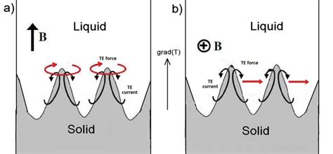 2 Schematic Temc Patterns At The Dendritic Solidification Interface Download Scientific