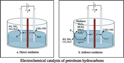 Process Of Electrochemical Catalysis Download Scientific Diagram
