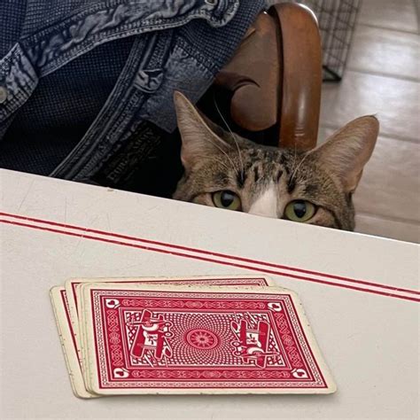 Tim Sherman Tsherman99 • Threads Say More