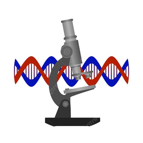 Dna Code Vector Hd Png Images Microscope Magnification Code Dna Line