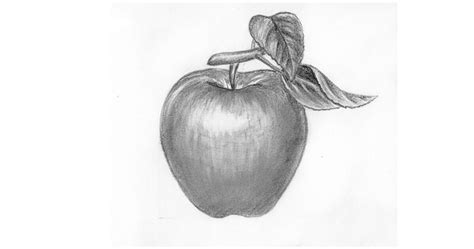How To Draw An Apple With A Pencil Step By Step Drawing Tutorial