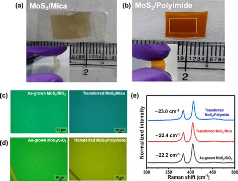 Photographs Of The Large Area Centimeter Scale Transferred 3l Mos 2