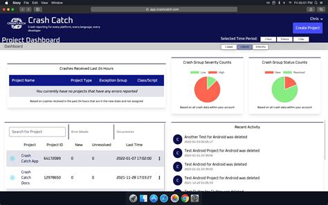 Improved Dashboard And Pro Plan Subscription For Crash Catch