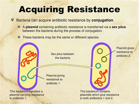 Adaptation Selection Ppt Download