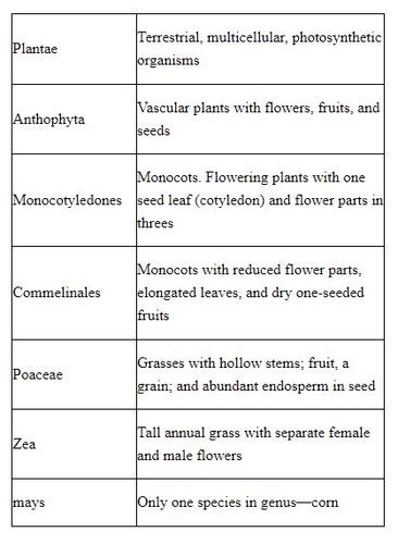 Biol Chapter Hw Flashcards Quizlet