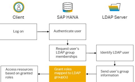 Spotlight Ldap Support In Sap Hana Cloud Sap Community