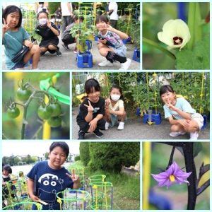 おおきくなったよ