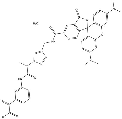 美国apexbio中文官网 Citrulline Specific Probe