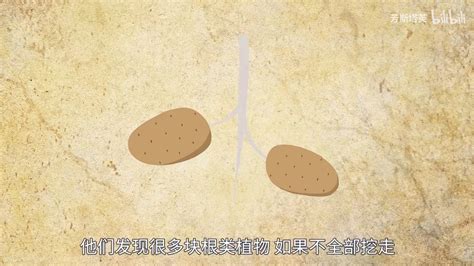科普杂谈古人采集渔猎到农业文明过渡期 哔哩哔哩