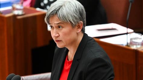 Penny Wong Calls For Humanitarian Pauses In Gaza Despite Hundreds Of