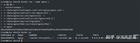 Docker环境下部署nginx 知乎