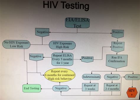 Solved Hiv Testing Eiaelisa Test Negative B Positive O Hiv