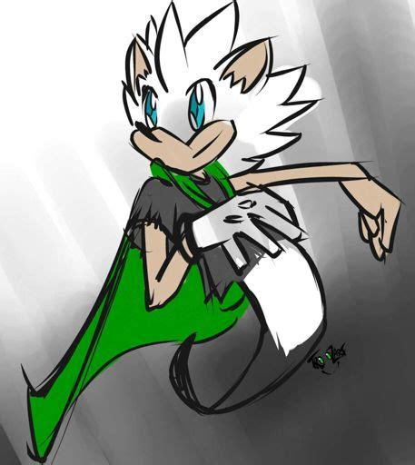 Requests Sonic The Hedgehog Amino