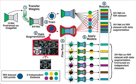 Figure 1 From Data Augmentation And Transfer Learning To Improve