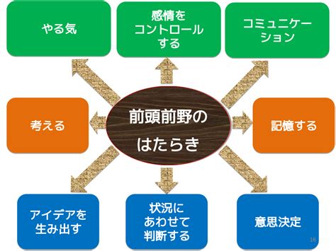 眼とメンタル 松島雅美のメンタルビジョントレーニング｜国際メンタルビジョントレーニング協会