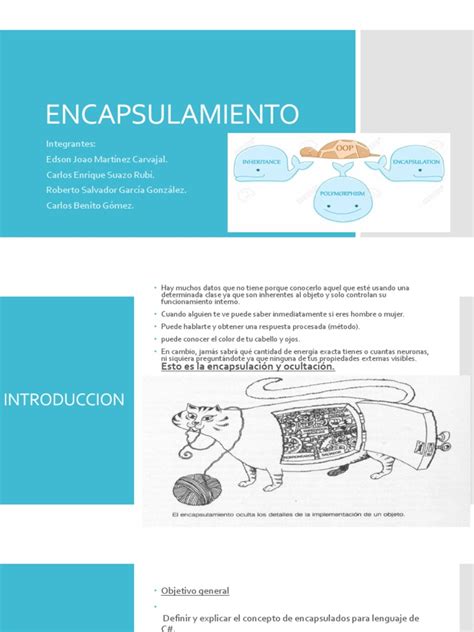 Encapsulamiento Pdf Objeto Informática Clase Programación