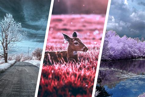 False Color In Photography Creative Uses And Techniques