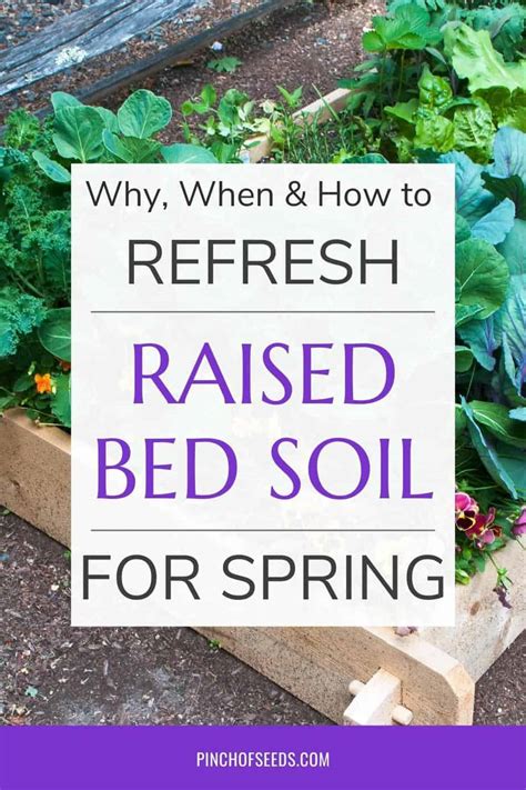 Soil Amendments For Raised Garden Beds How To Add Them