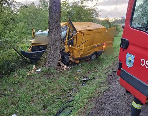 Bus uderzył w drzewo Kierowca z obrażeniami trafił do szpitala WYPADKI