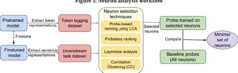 Interpreting Pretrained Source Code Models Using Neuron Redundancy