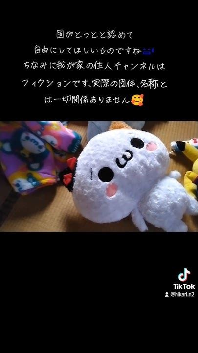 好きすぎて壊れてきました。にゃんこはあなたのハート💖を射貫きたいのよ。（4） Youtube