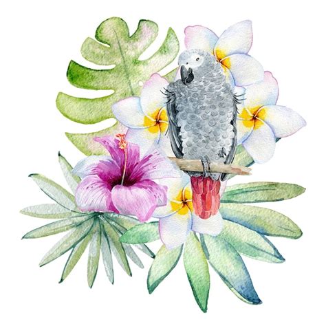 Ilustración acuarela tropical Foto Premium