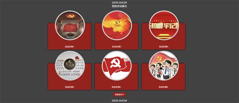 Springboot高校党务系统 免费java源码下载 源码网推荐