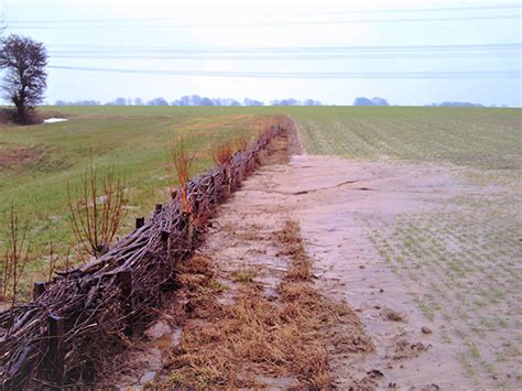 Les Plantations De Haies Et Fascines Dans Le Bassin Versant