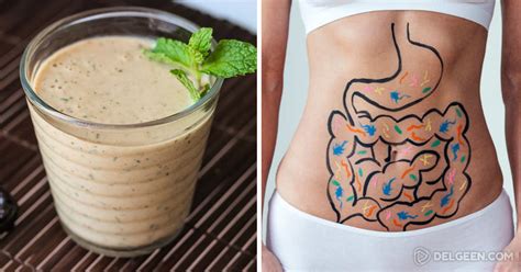 Би энэ өглөөний хоолыг тогтмол иддэг болсноос хойш миний бодисын солилцоо гэдэс ходоод элдэв