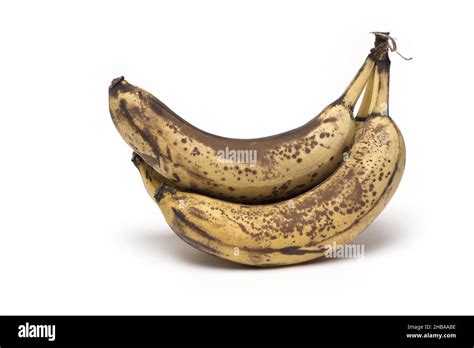 Close Up Of Three Overripe Very Ripe And Partly Already Brown Bananas