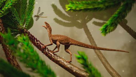 Pterosaur Ancestors Couldnt Even Dream Of Flying Trendradars Latest