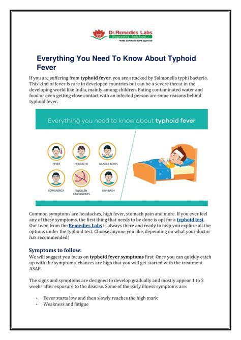 PPT Everything You Need To Know About Typhoid Fever PowerPoint