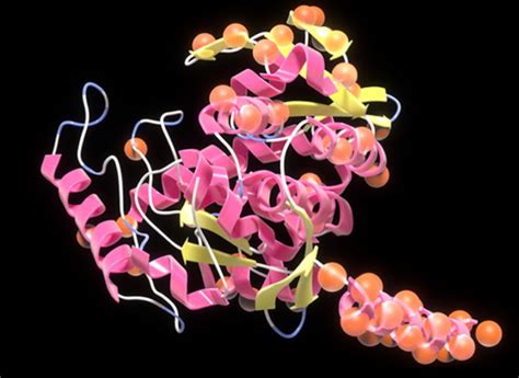 Nvidia And Evozyne Create Generative Ai Model For Proteins Innovation Essence