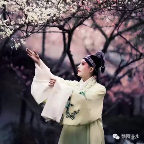 粤剧紫钗记之拾钗曲谱粤剧紫钗记全剧任白粤剧紫钗记全剧第2页大山谷图库