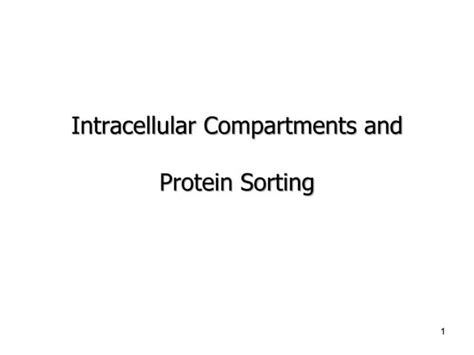 3 2 Intracellular Compartments And Protein Sorting Pptx